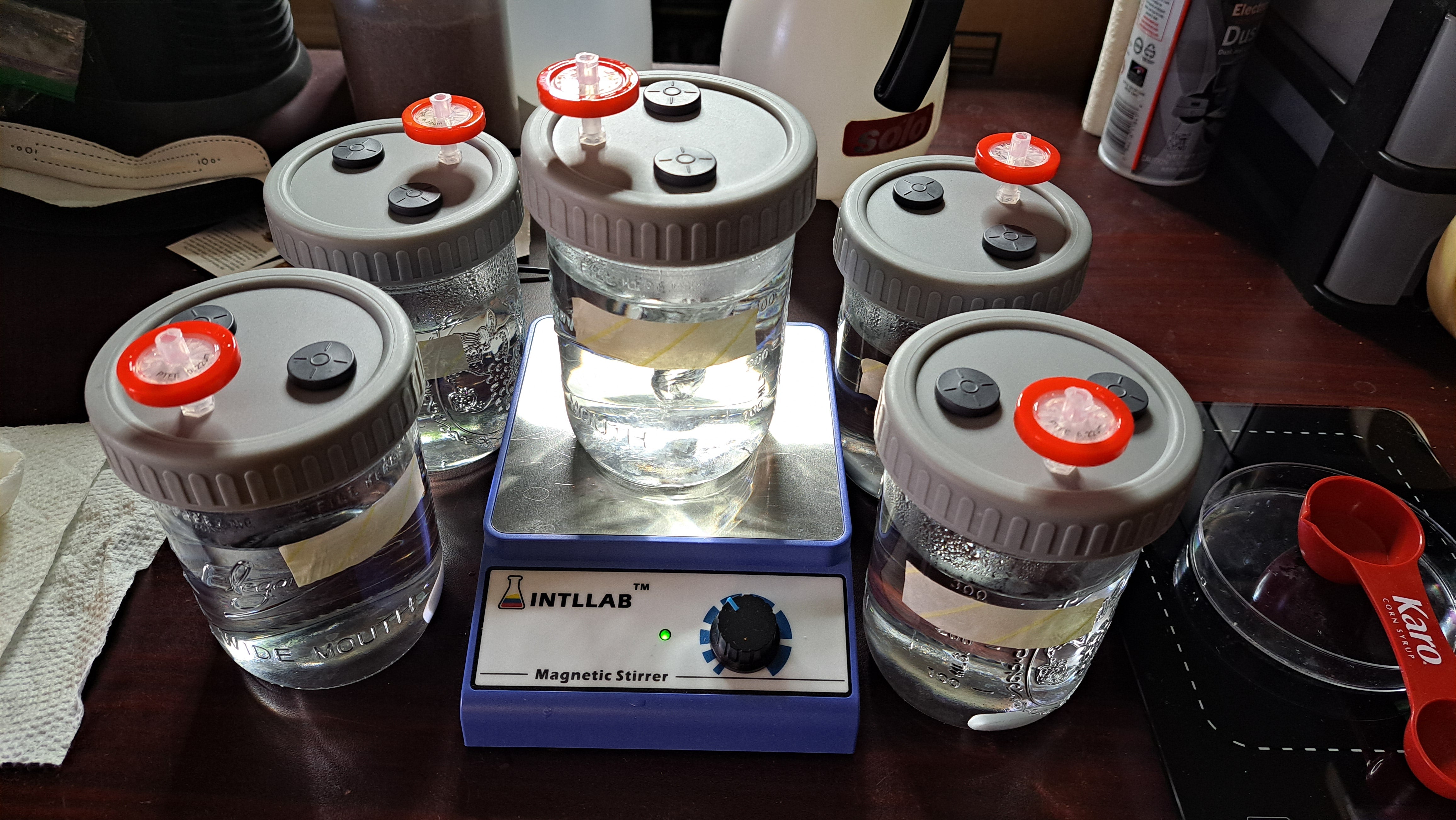 How to make liquid culture – LB Insect Supply